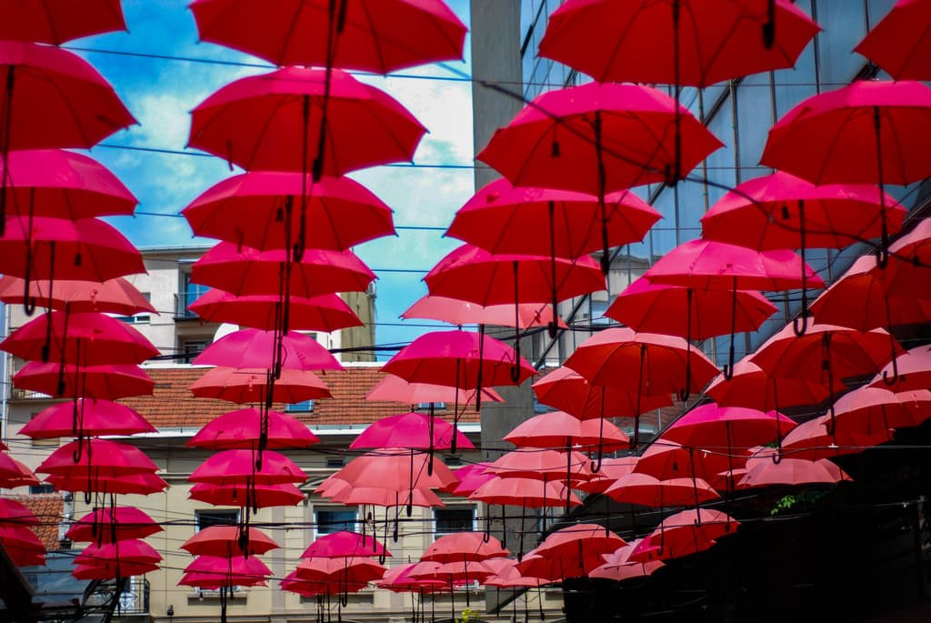 Red Umbrellas Photo | Download free images from Mystock
