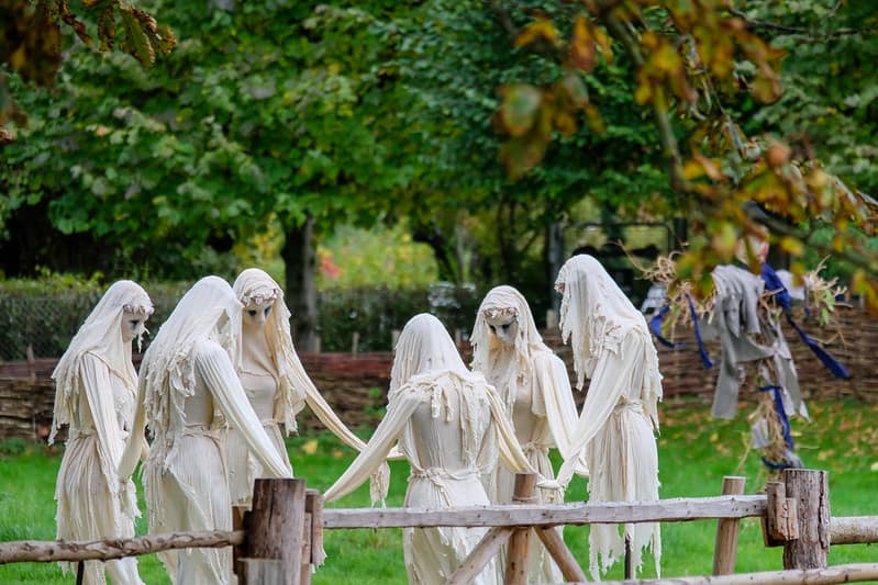 Scary Nymph Group Holding Hands Photo | Download free images from Mystock