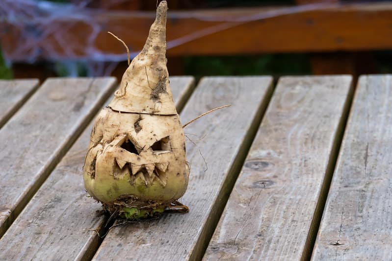 Halloween Carved Turnip Photo | Download free images from Mystock